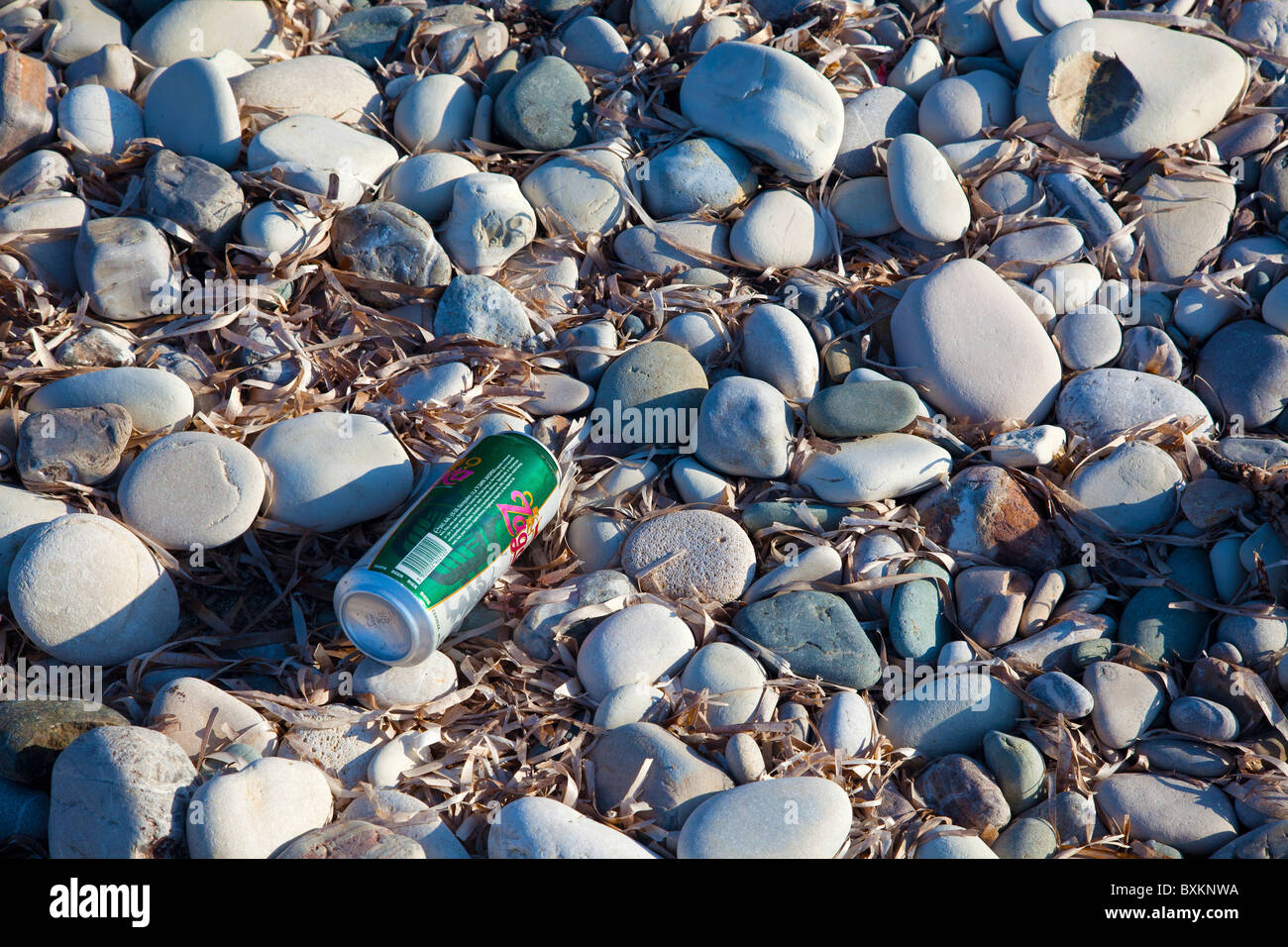 Litter at the seaside hi-res stock photography and images - Alamy