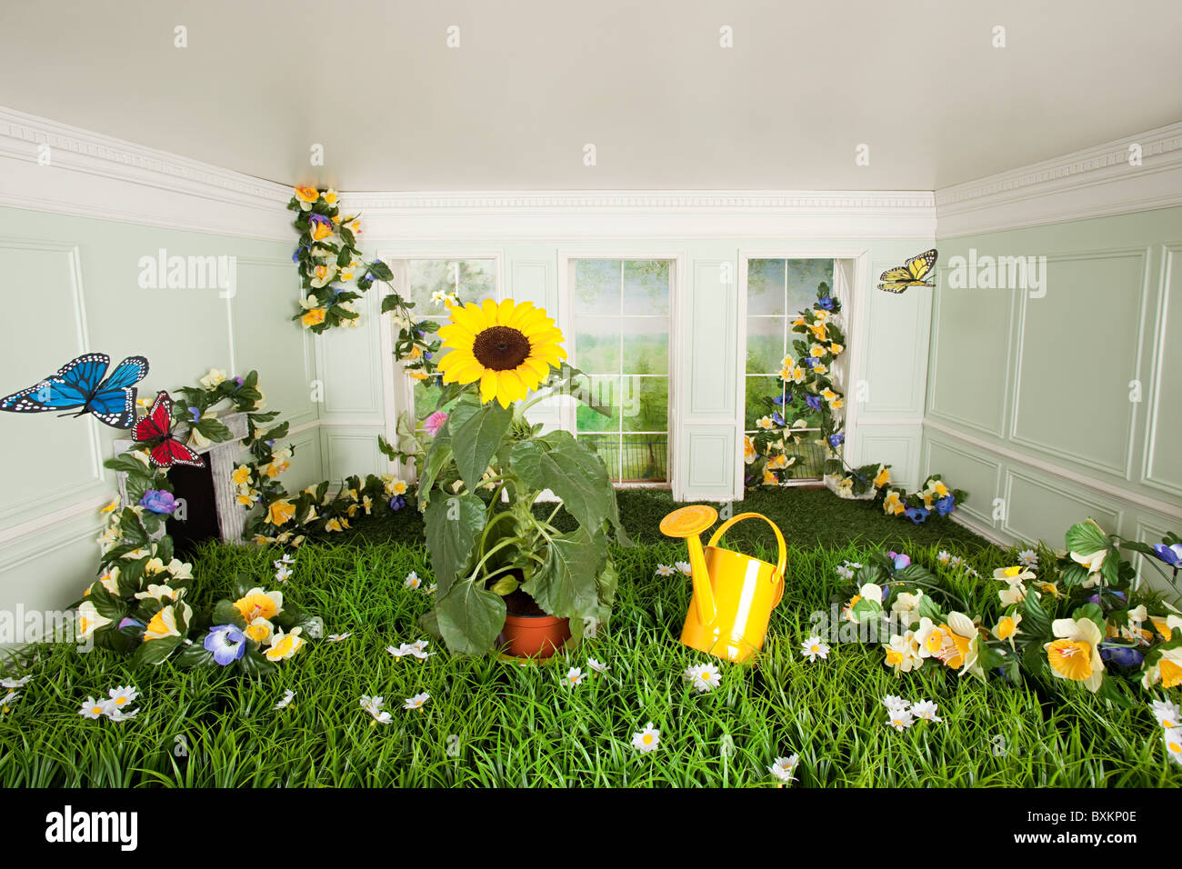 Grass, flowers and butterflies in tiny room Stock Photo - Alamy