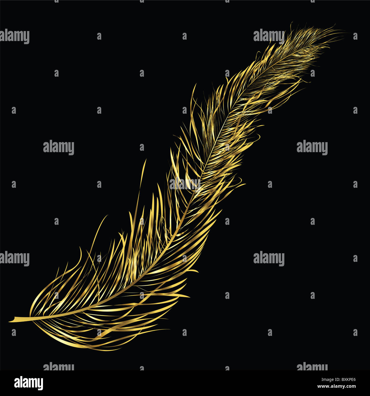 Precious feather hi-res stock photography and images - Alamy