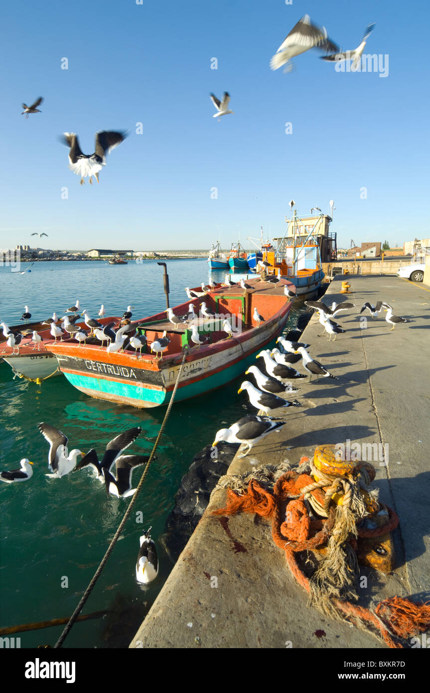 Lambert's Bay Western Cape South Africa Stock Photo - Alamy