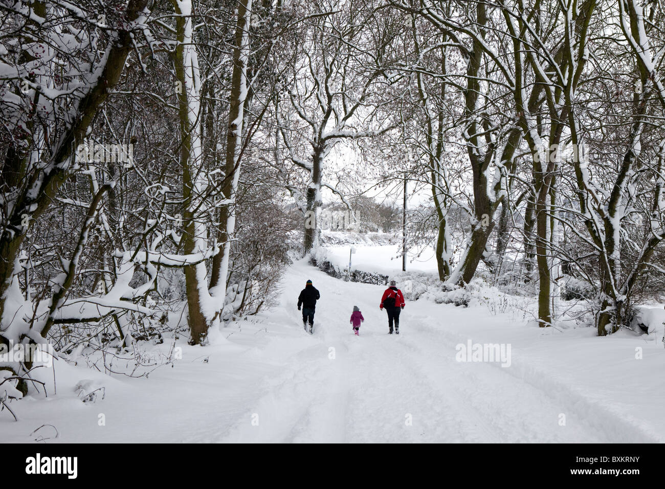 Snowfall chesterfield hi-res stock photography and images - Alamy