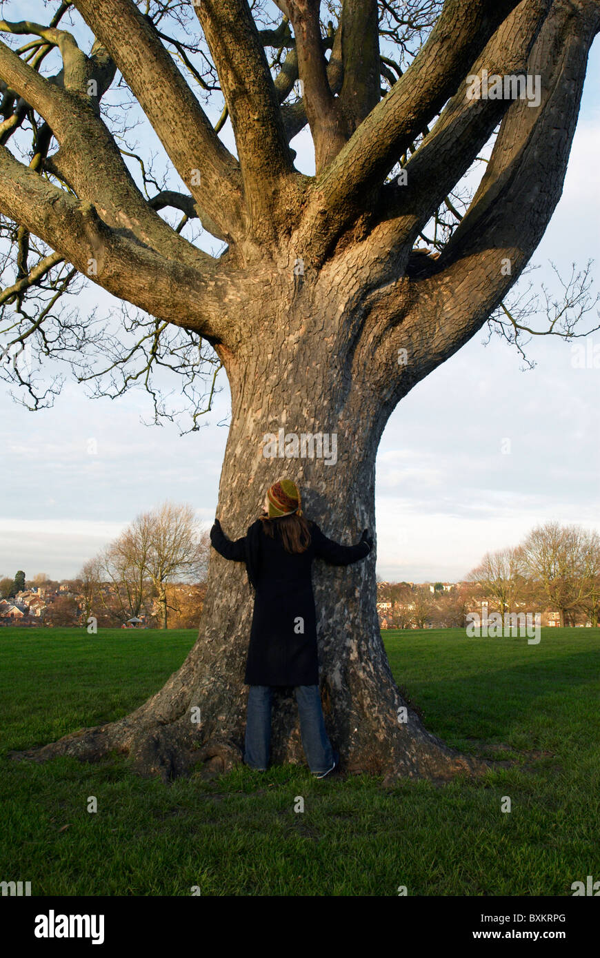 Woman hugging a tree Stock Photo - Alamy