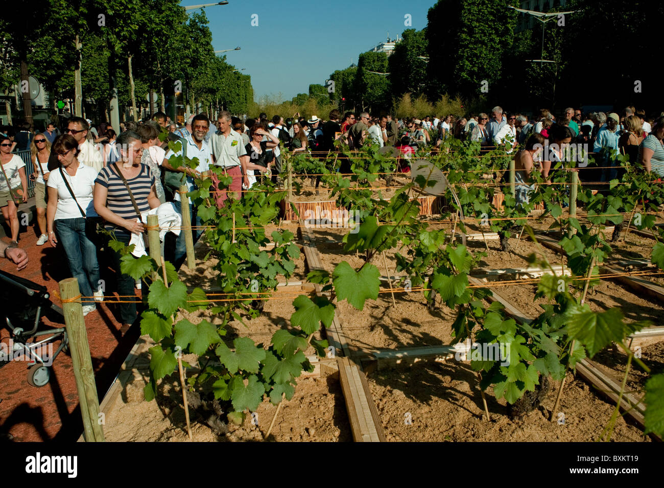 Paris, France, Crowd of Tourists Visiting Garden Festival, Champs-Ely ...