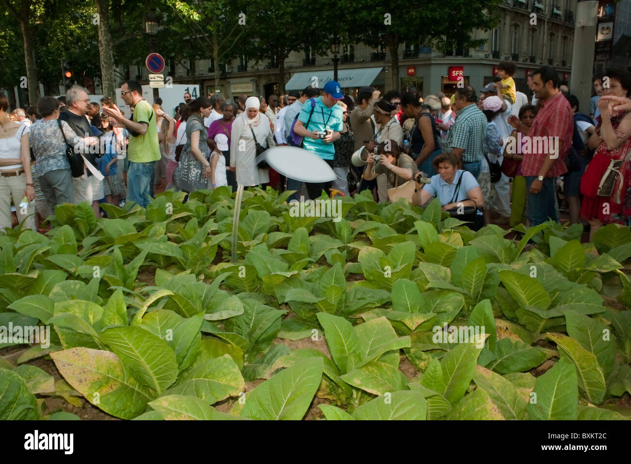 Champs ely hi-res stock photography and images - Alamy