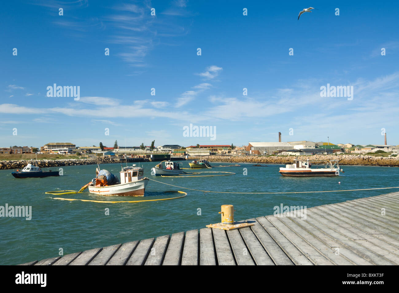 Diamond boat lamberts bay scenery hi-res stock photography and images ...