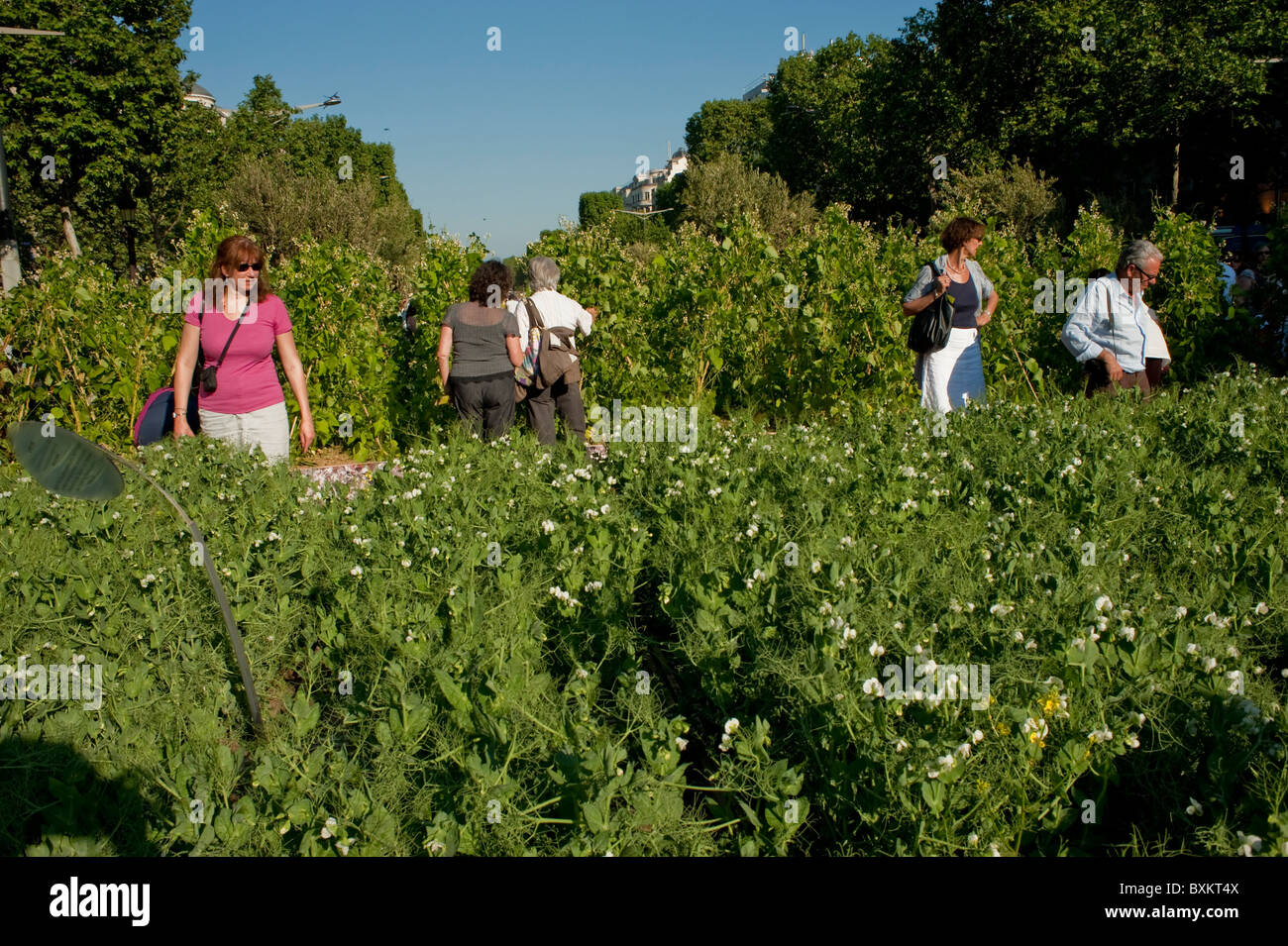Paris, France, Tourists Visiting Garden Festival, Champs-Ely-sees ...