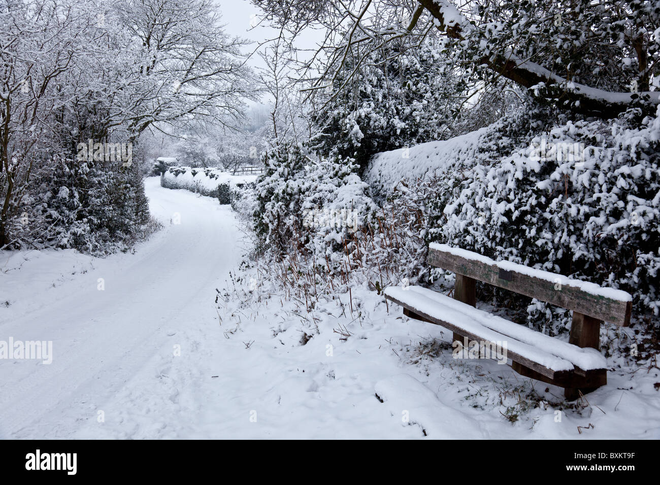 Snow covered seat in Ragdon Lane near Pig Topiary Hedge, Church ...