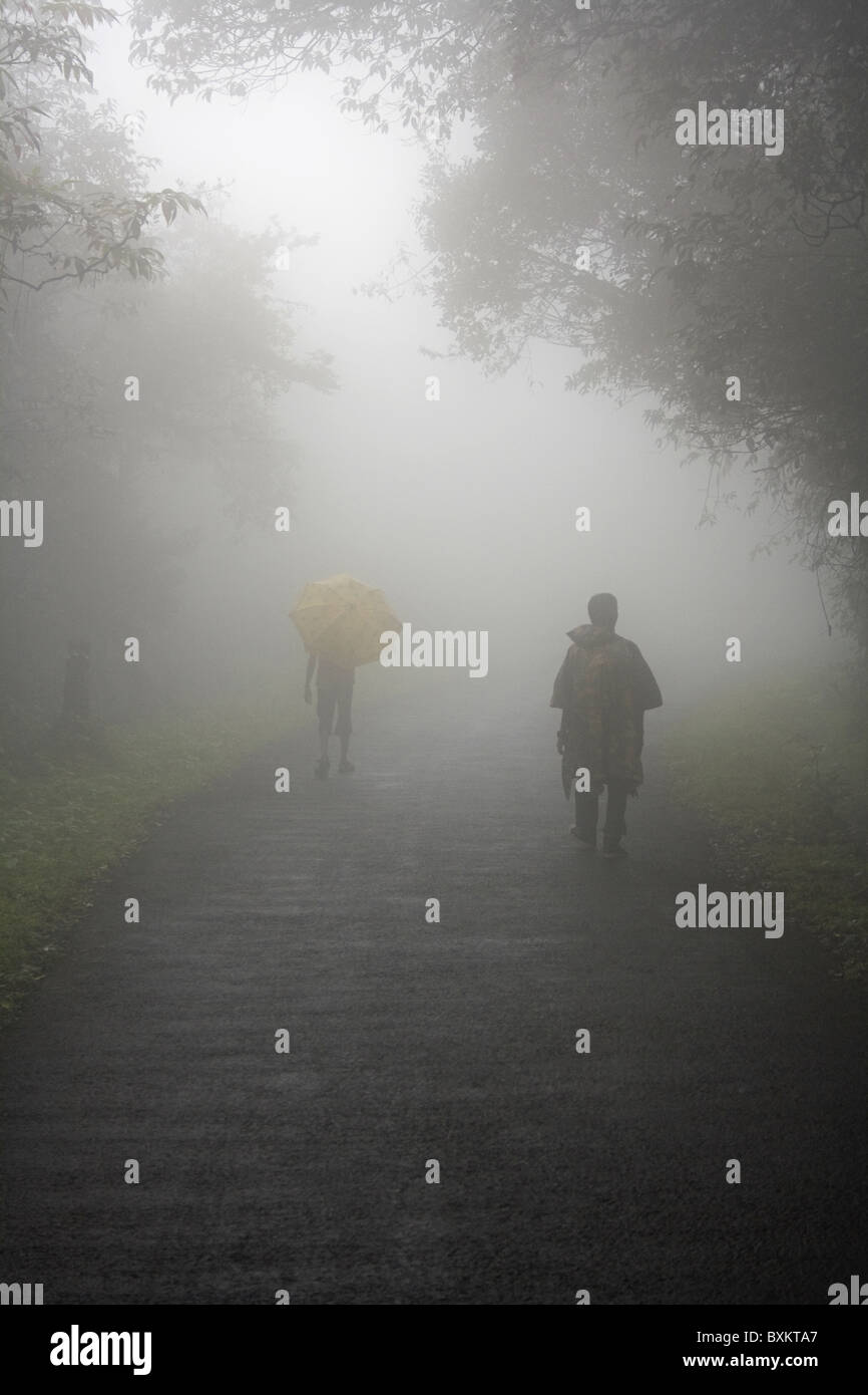 People are walking through mist at Amboli, India Stock Photo - Alamy
