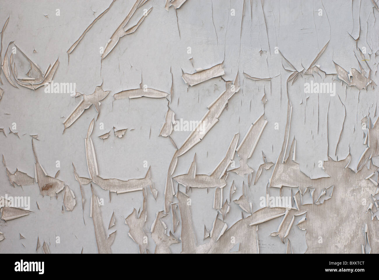 old wooden panel with peeling white paint Stock Photo - Alamy