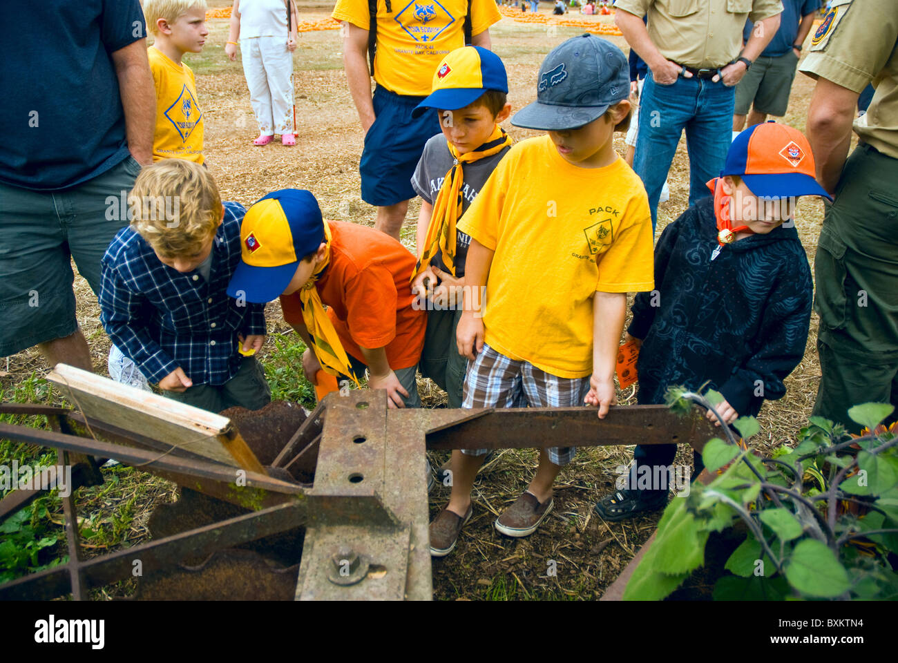 Cub Scouts on a field trip to a pumpkin farm Stock Photo - Alamy