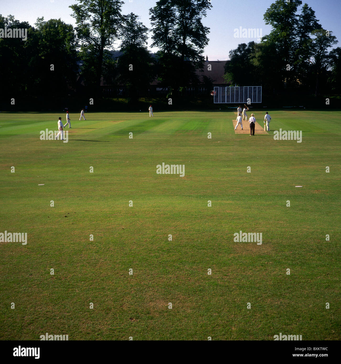 Cricket game in progress in hi-res stock photography and images - Alamy