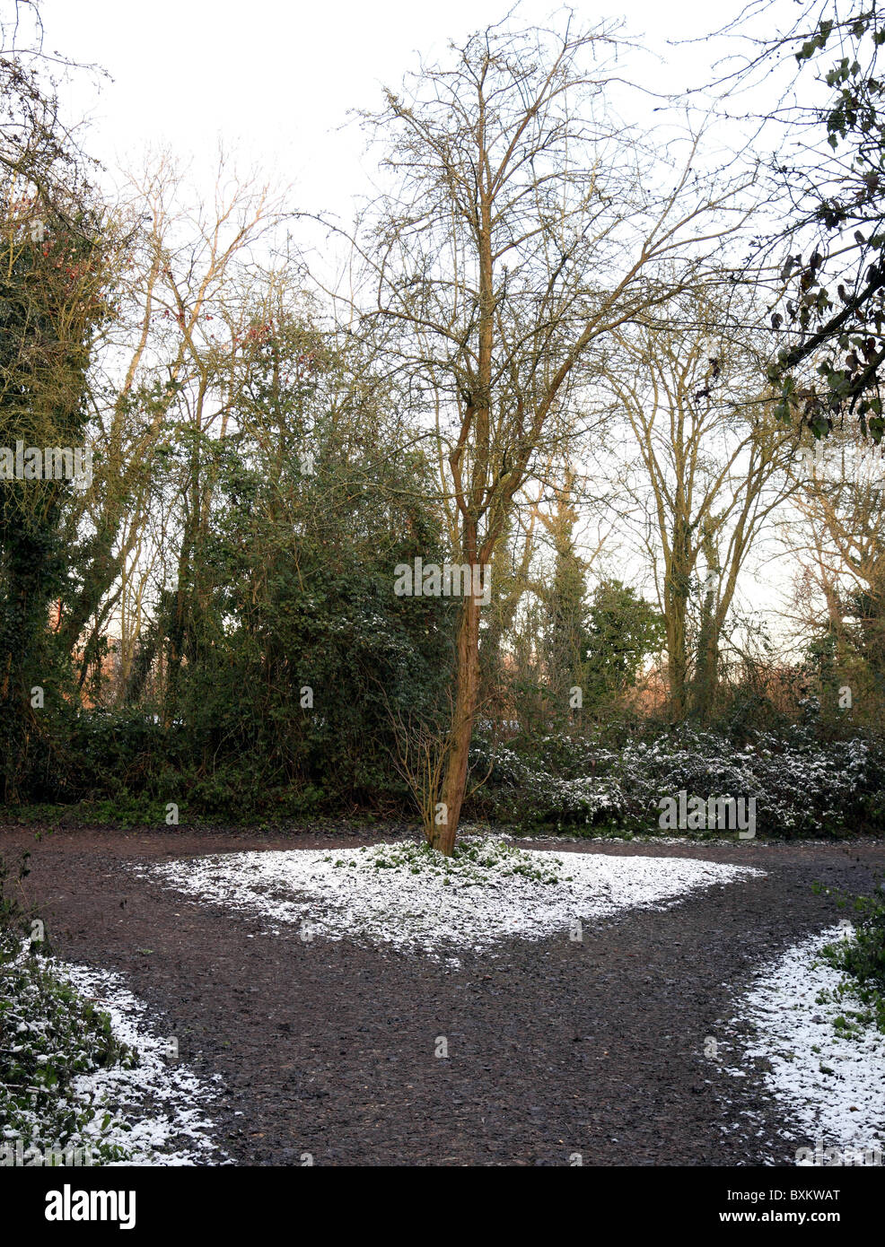 Three ways path Stock Photo - Alamy