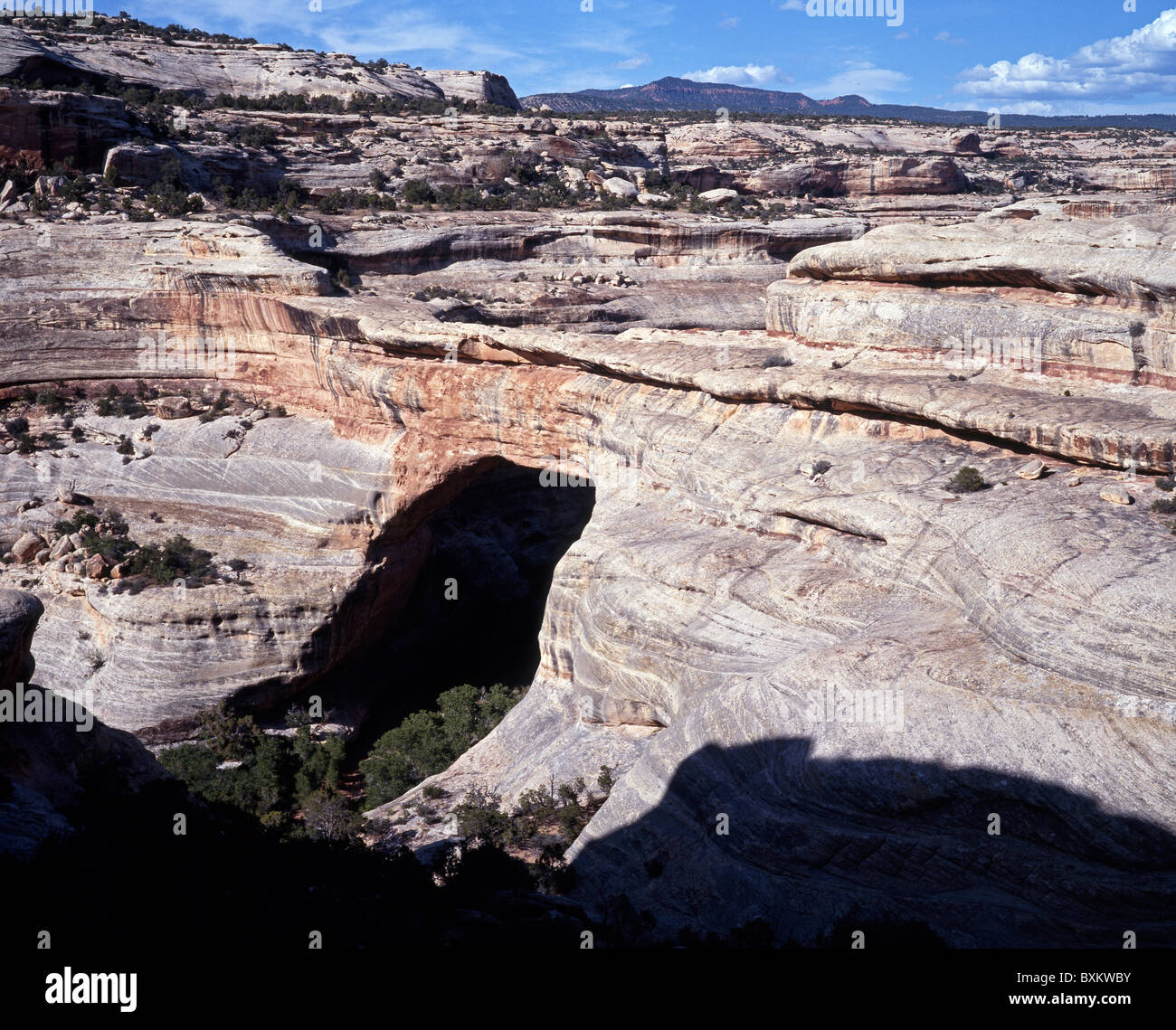 Sipapu Bridge - A naturally formed rock arched bridge, Natural Bridges ...