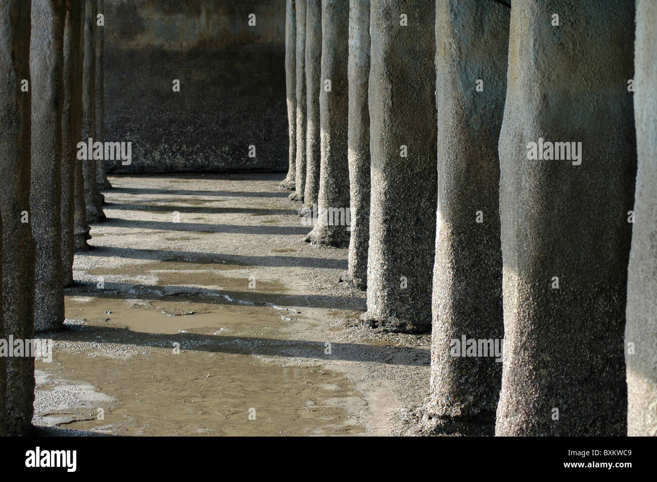 Bridge pillar hi-res stock photography and images - Alamy