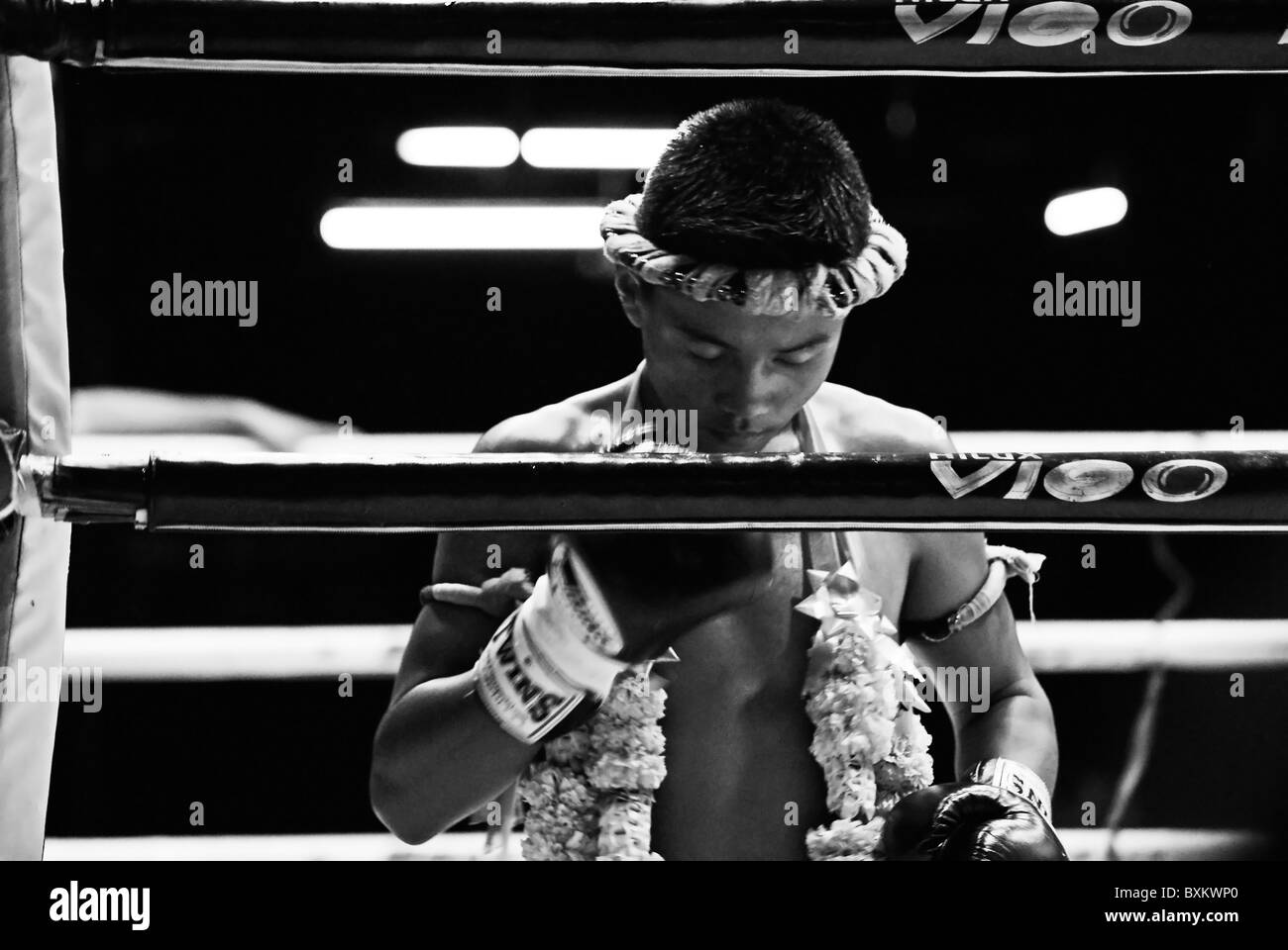 Muay thai hi-res stock photography and images - Alamy