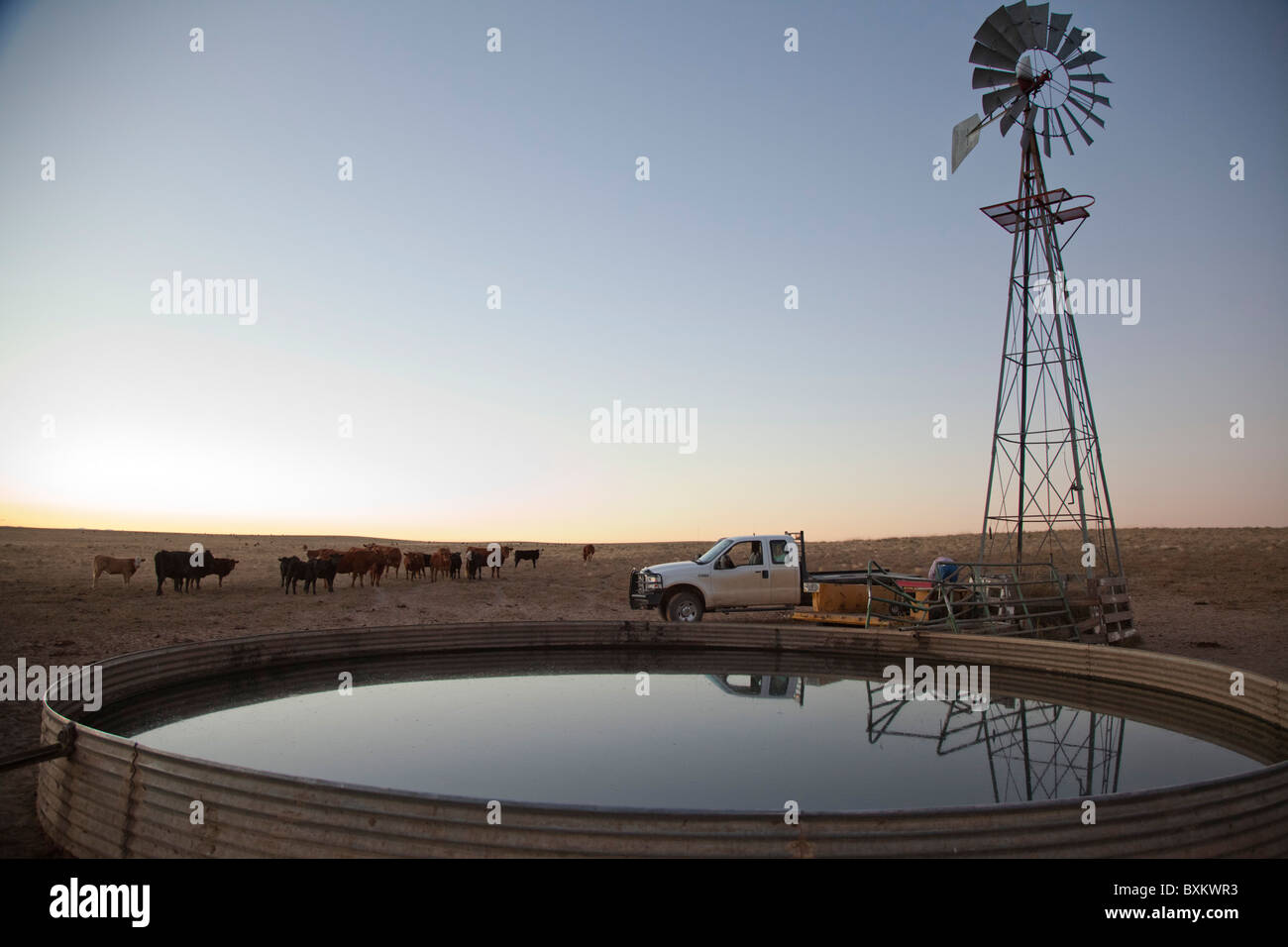 Windmill cattle country hi-res stock photography and images - Alamy