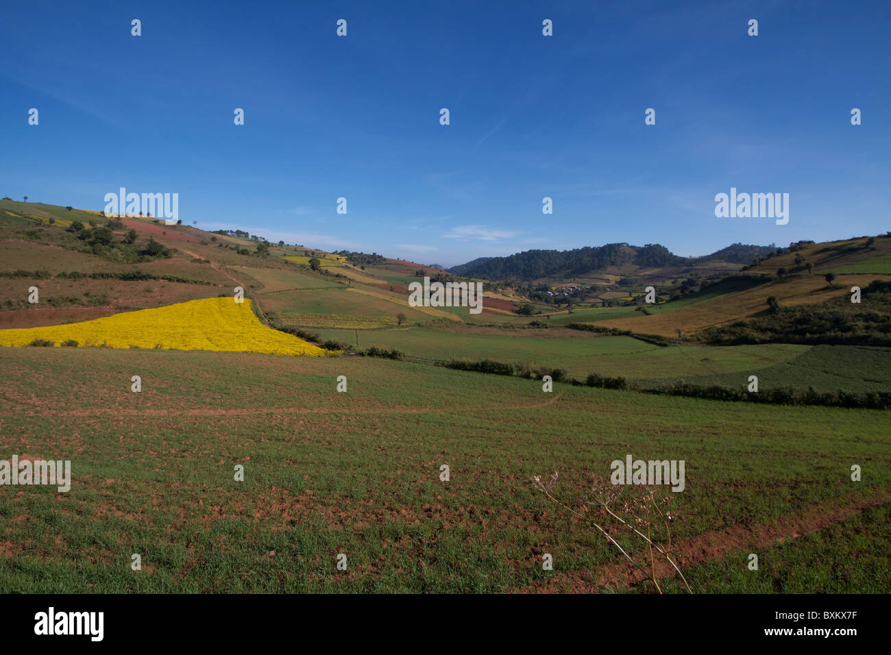 Kalaw hi-res stock photography and images - Alamy
