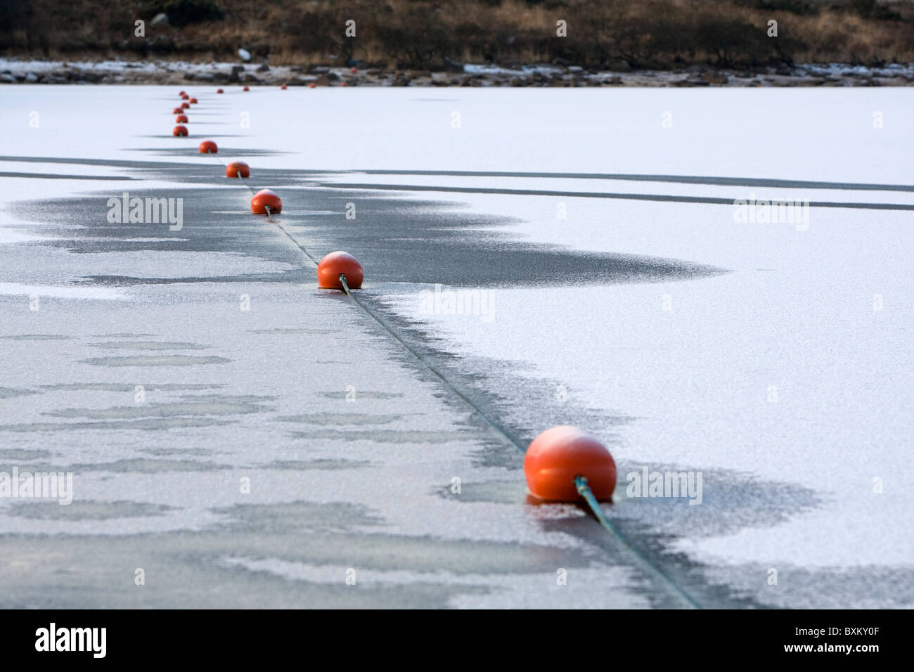 Stithians reservoir hi-res stock photography and images - Alamy