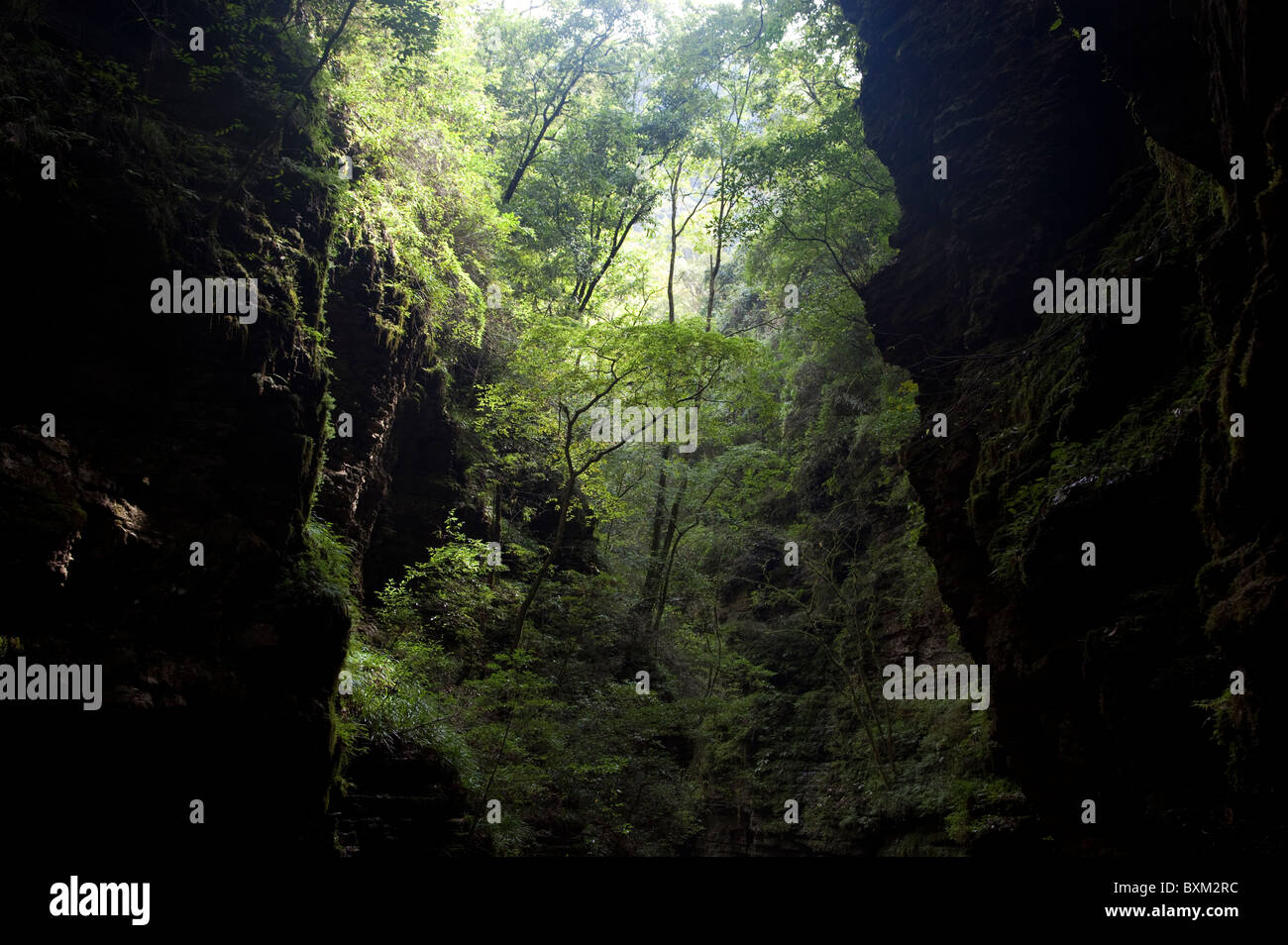 A deep and narrow gorge eroded by river water at Micang Shan Nature ...