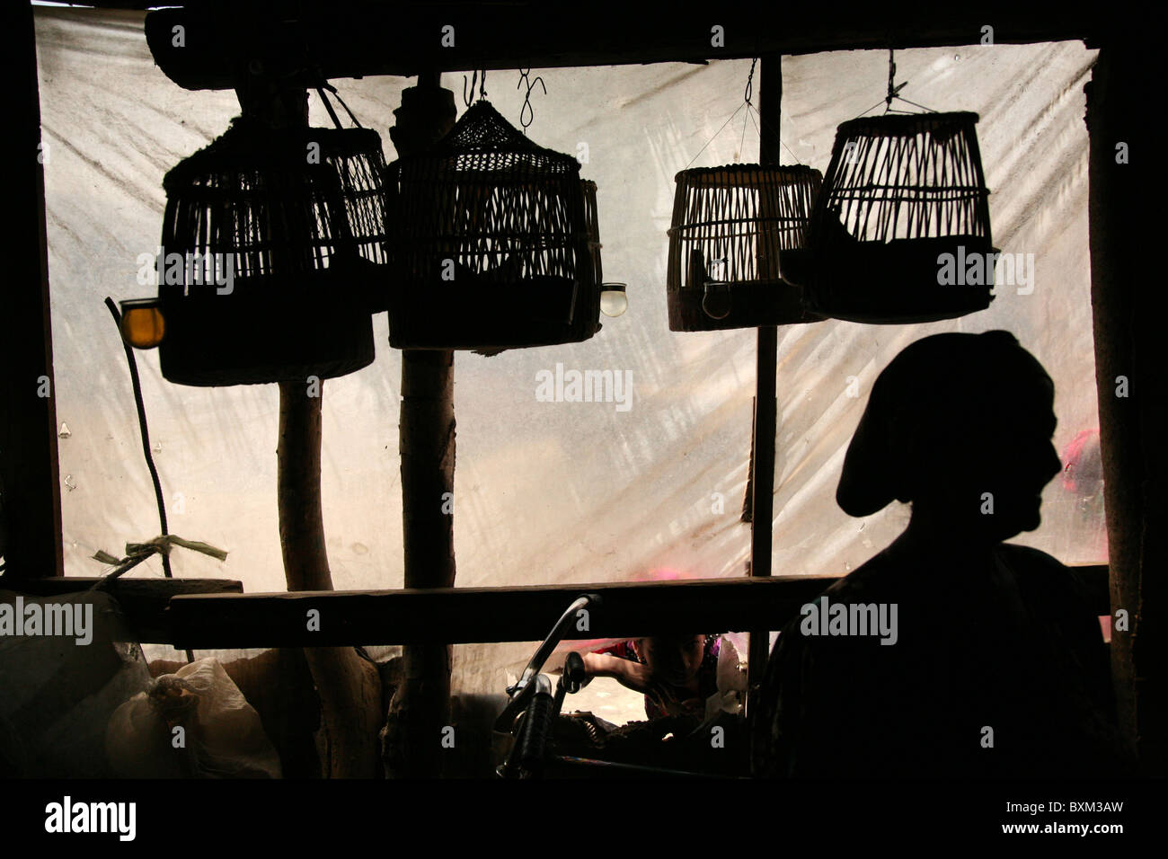 Gypsy bird hi-res stock photography and images - Alamy