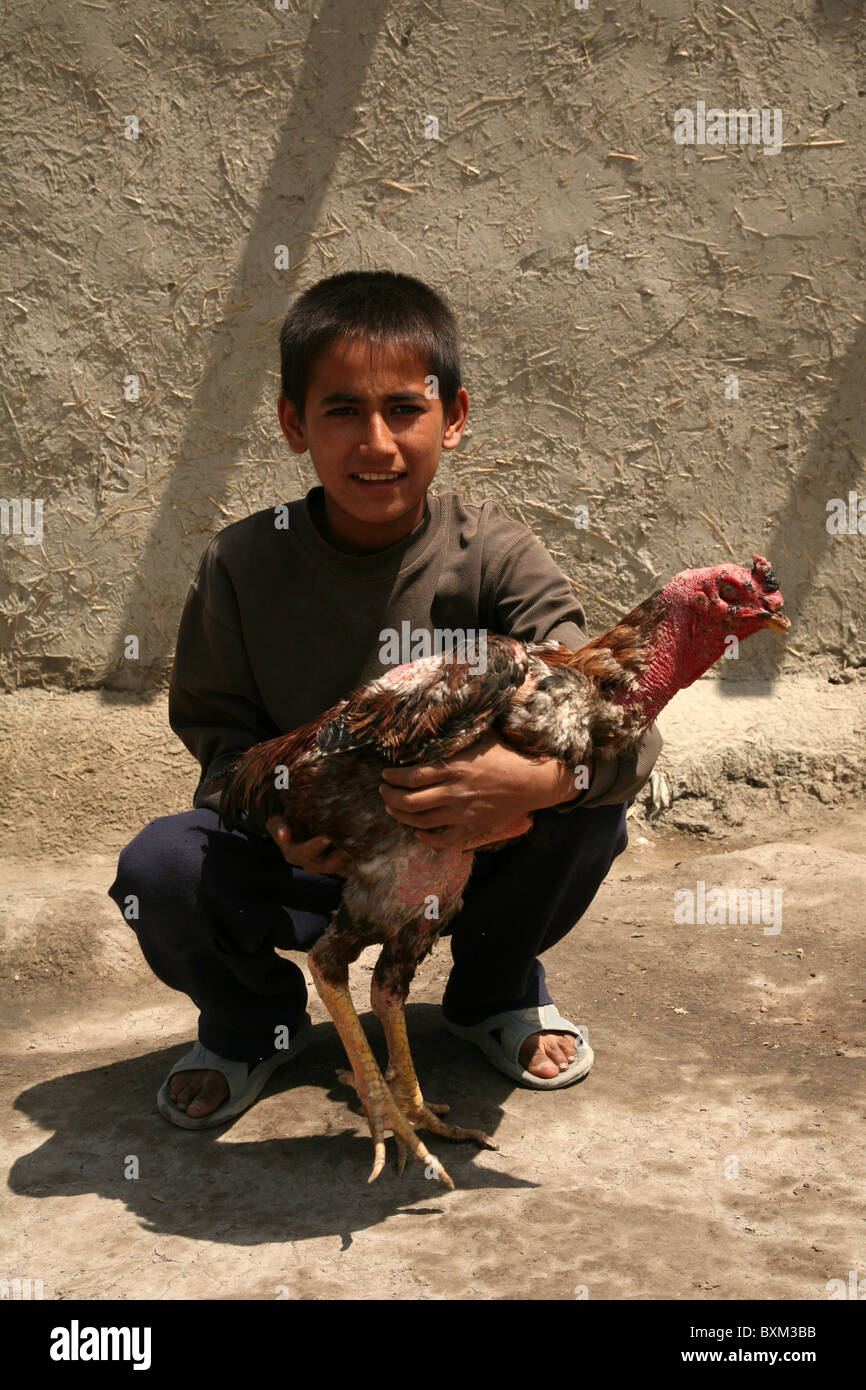 Boy with a turkey cock in the gypsy village of Gigikhana near Bukhara, Uzbekistan Stock Photo ...