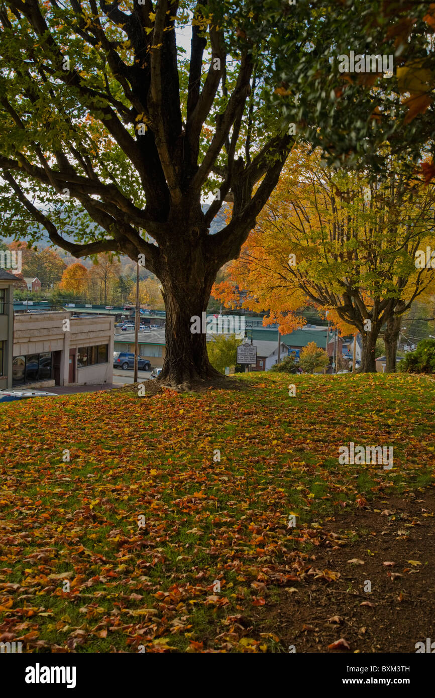 Autumn, Waynesville, North Carolina Stock Photo - Alamy