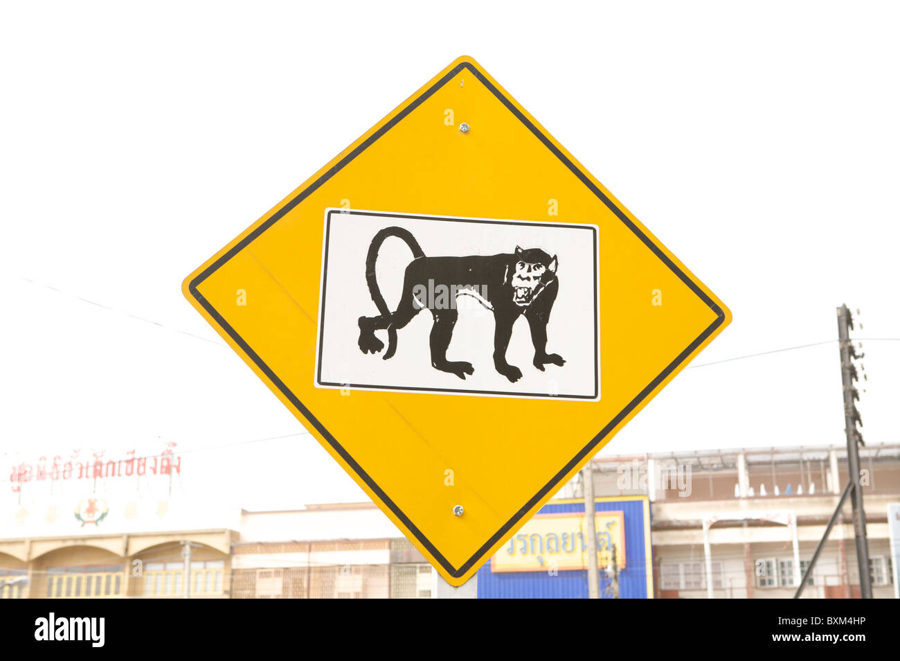 Beware Monkey Sign High Resolution Stock Photography and Images - Alamy