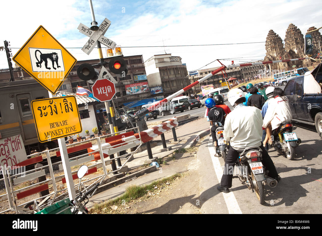 Beware: Monkey Zone sign warns drivers about free running Crab-eating ...