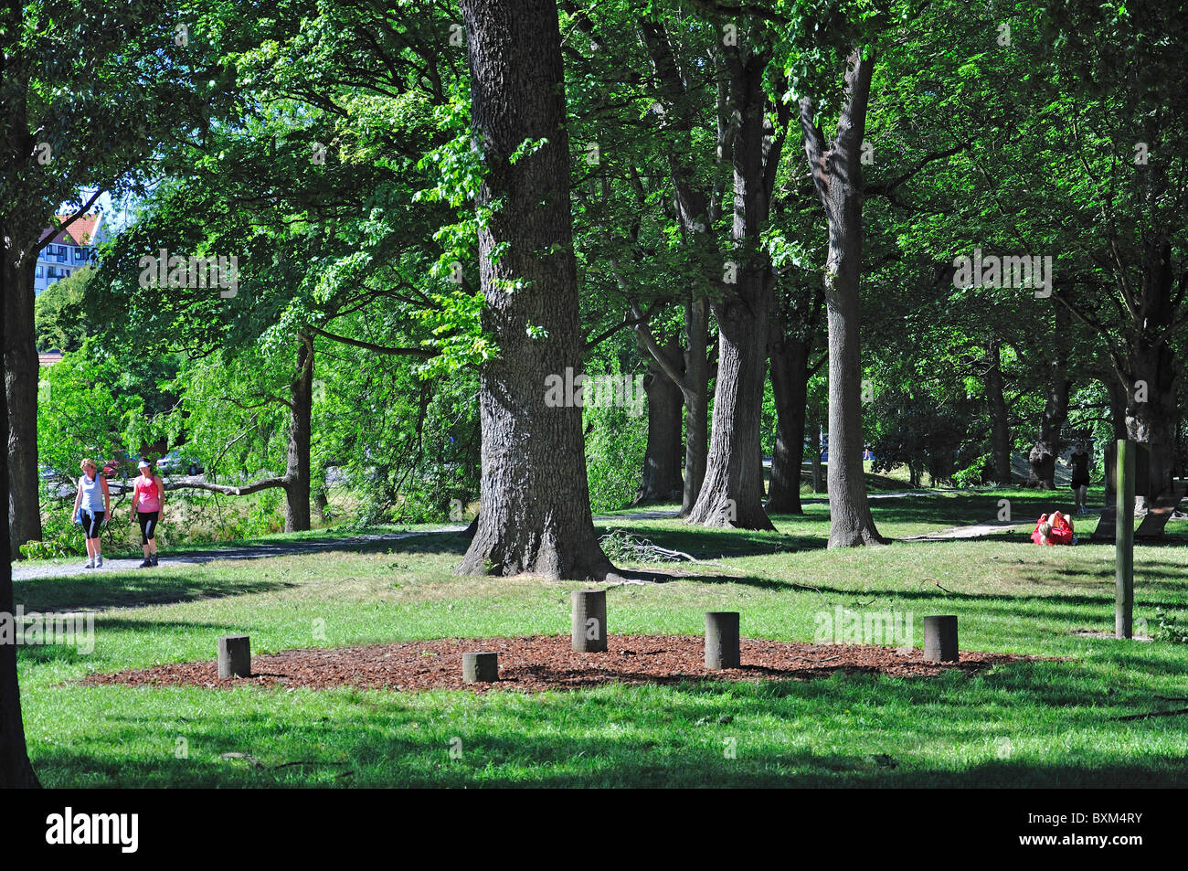 Running track on North Hagley Park, Christchurch, Canterbury, South ...
