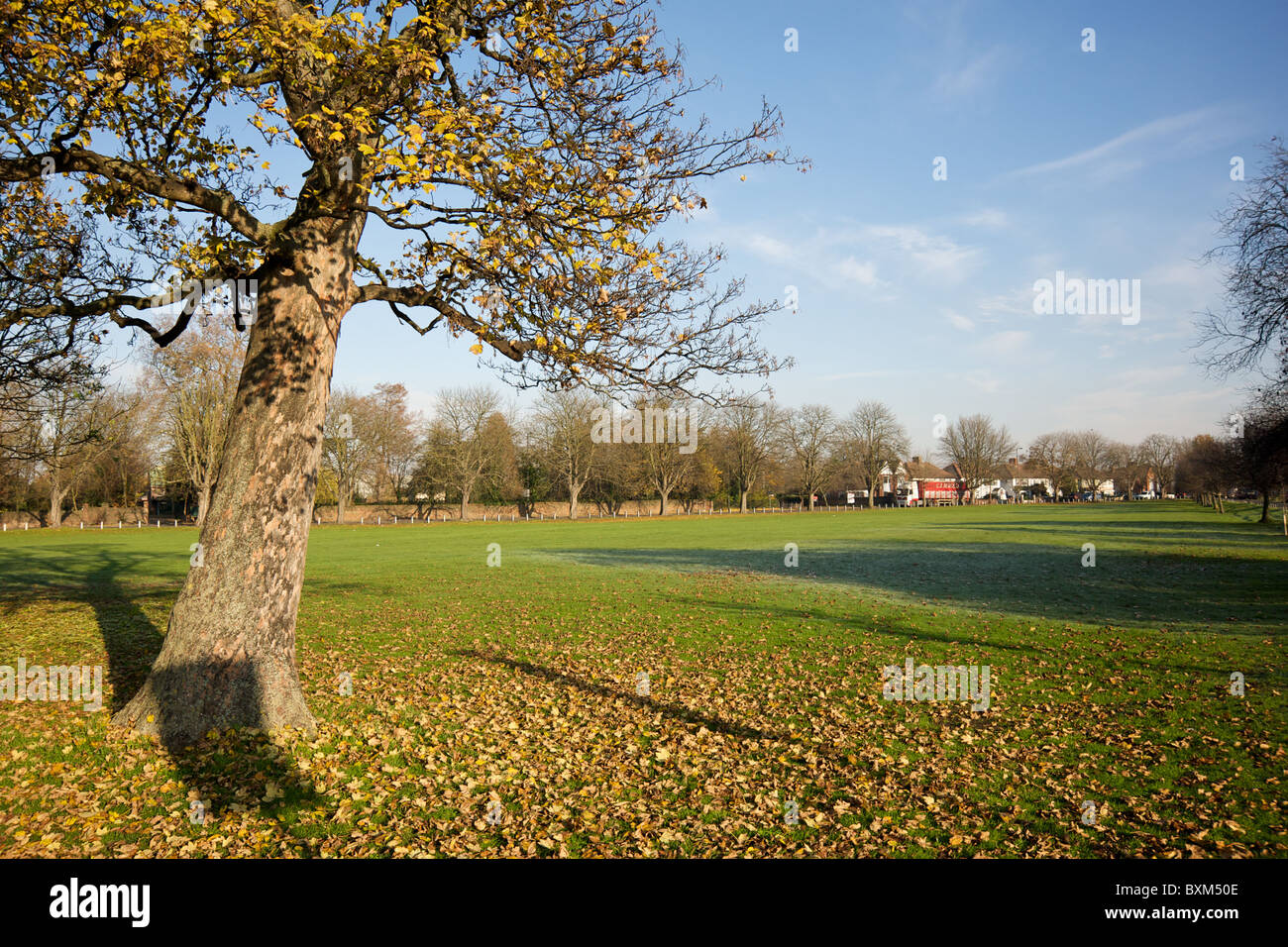 Cranmer Green, Mitcham, London Borough of Merton, South London, England ...