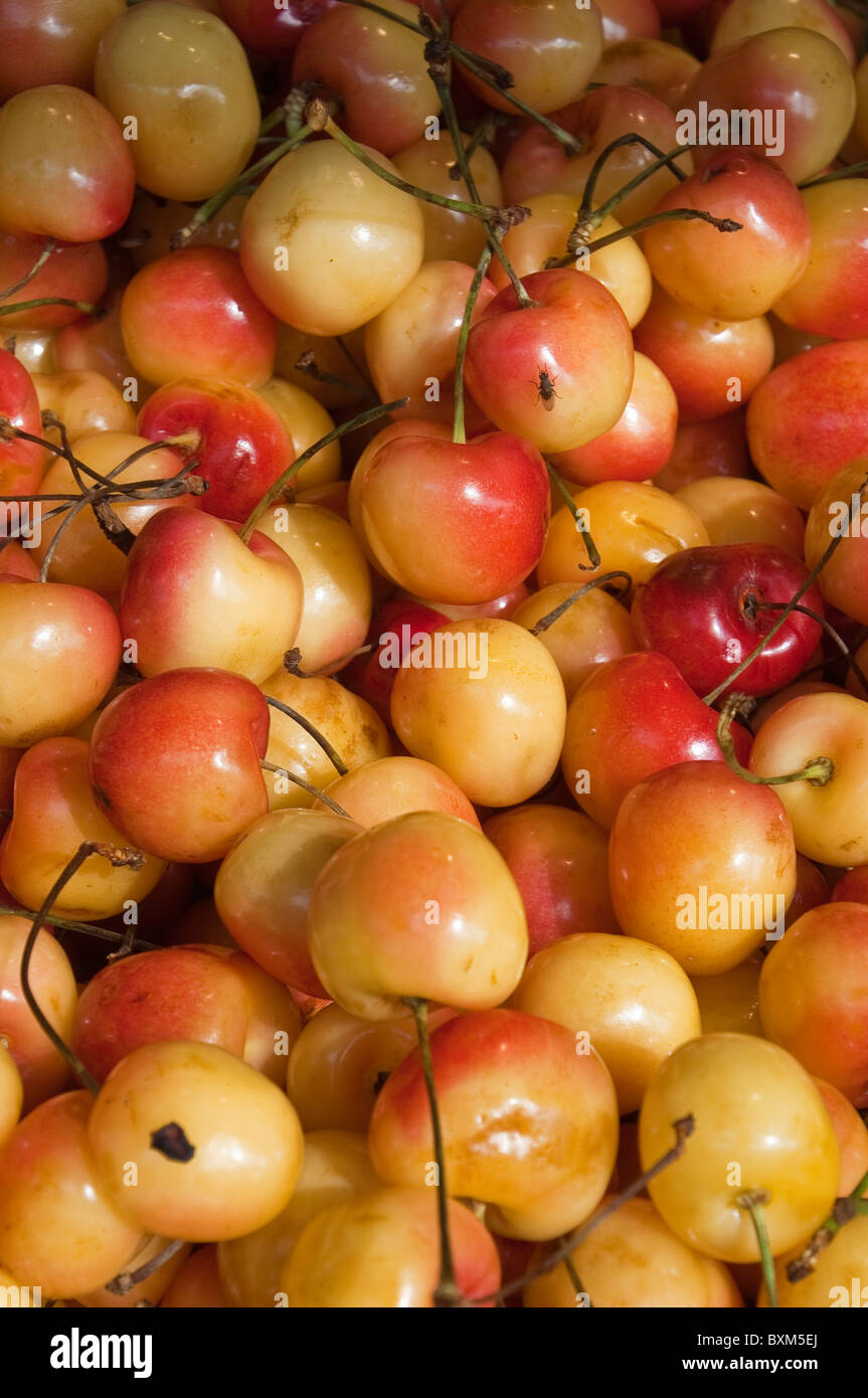 Montreal fruit hi-res stock photography and images - Alamy