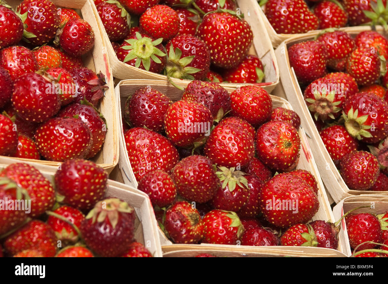Montreal fruit hi-res stock photography and images - Alamy