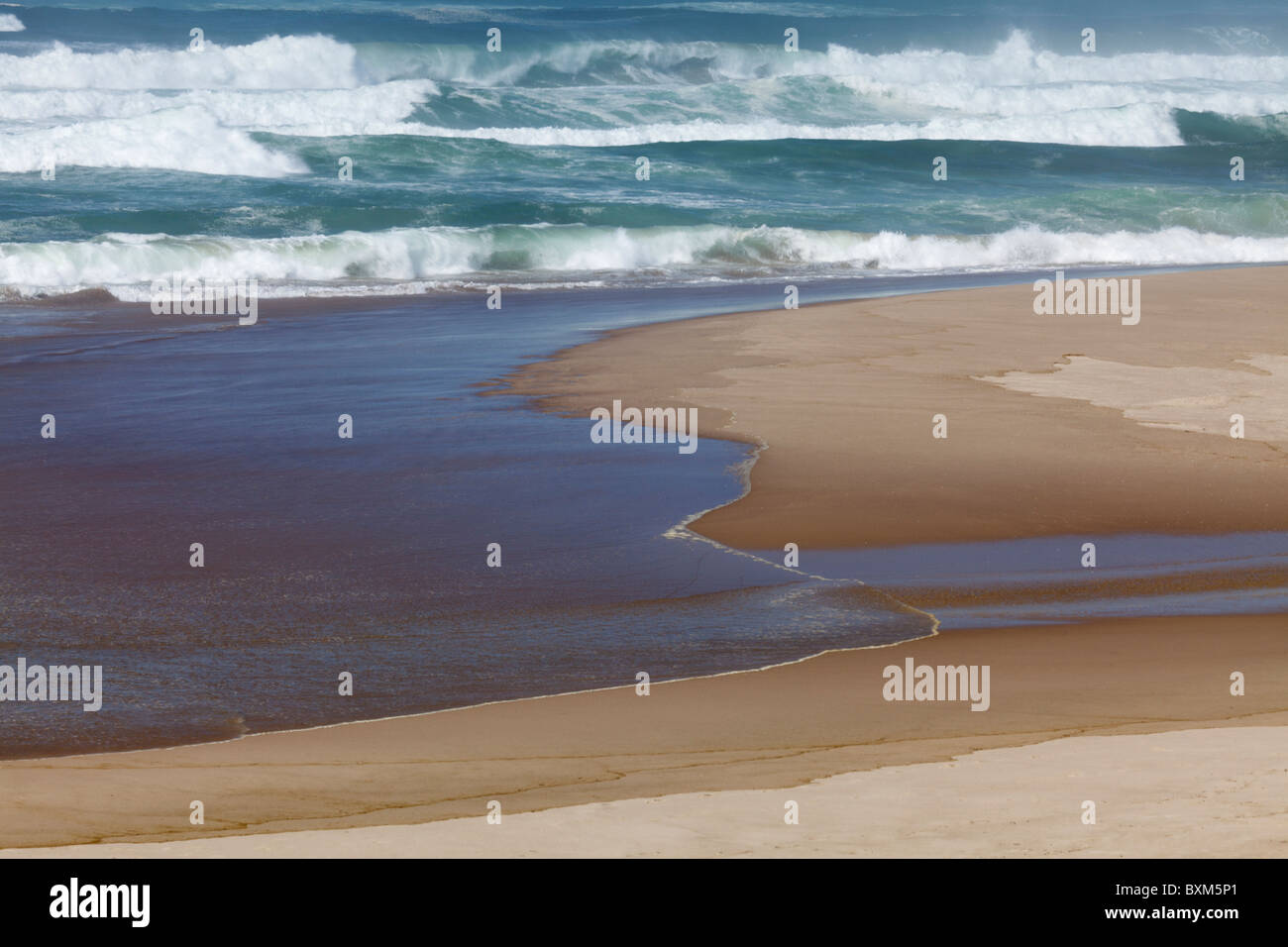 USA; Oregon Coast; Umpqua Dunes; Siuslaw National Forest Stock Photo ...