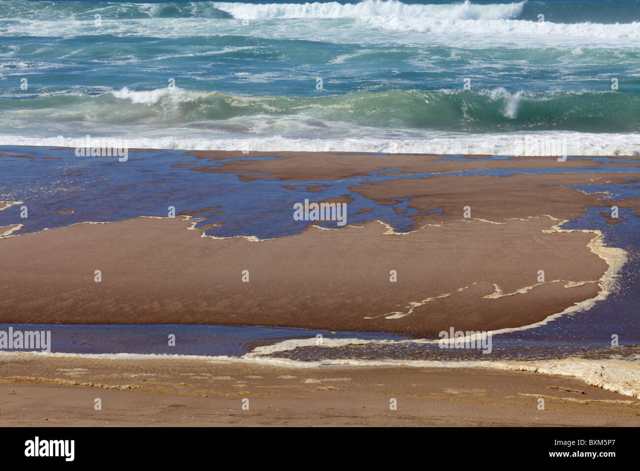 USA; Oregon Coast; Umpqua Dunes; Siuslaw National Forest Stock Photo ...