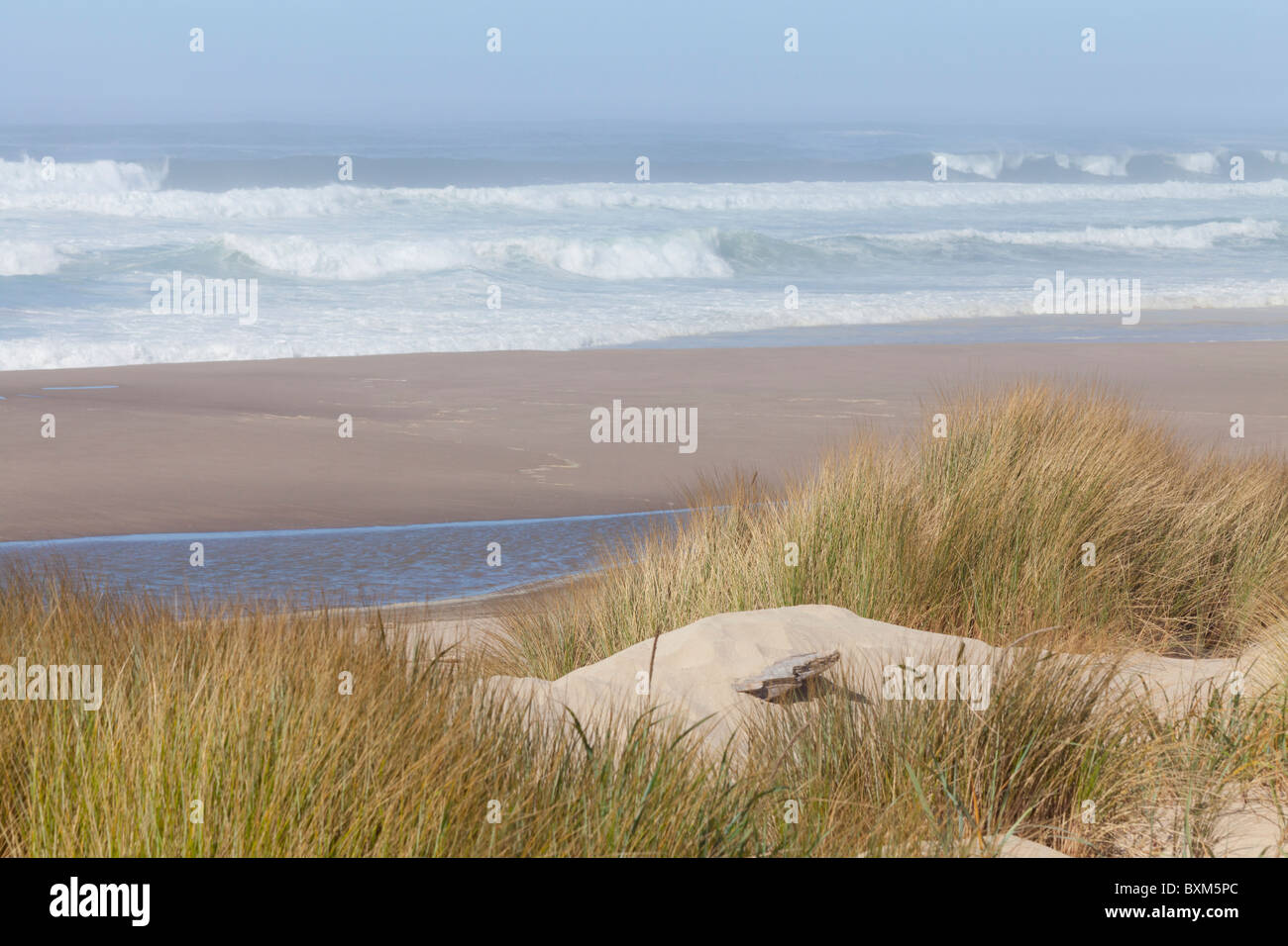 USA; Oregon Coast; Umpqua Dunes; Siuslaw National Forest Stock Photo ...