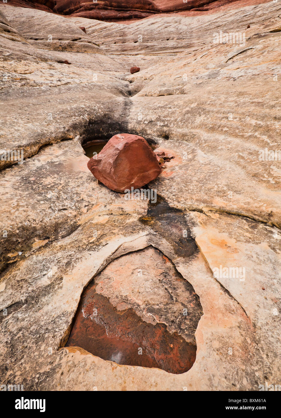 Drainage gully hi-res stock photography and images - Alamy