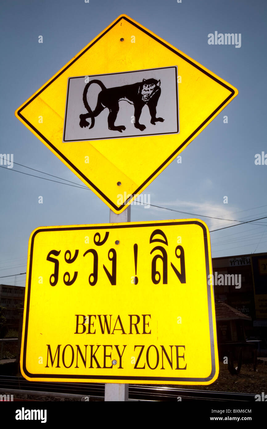 Beware: Monkey Zone sign warns drivers about free running Crab-eating ...