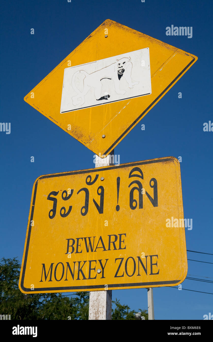 Beware: Monkey Zone Sign warning drivers about free running Crab-eating ...