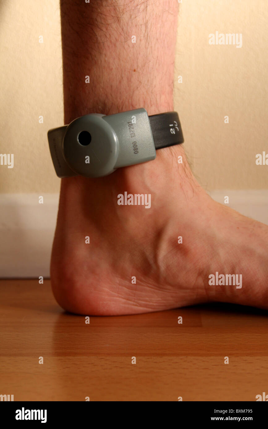 Ankle tag, bracelet in place, tamper proof design. Tagging is, like ...
