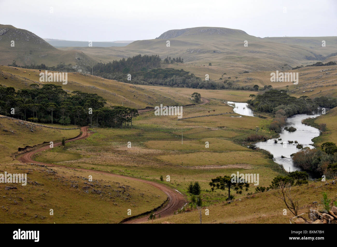 Brazilian Highlands High Resolution Stock Photography and Images - Alamy