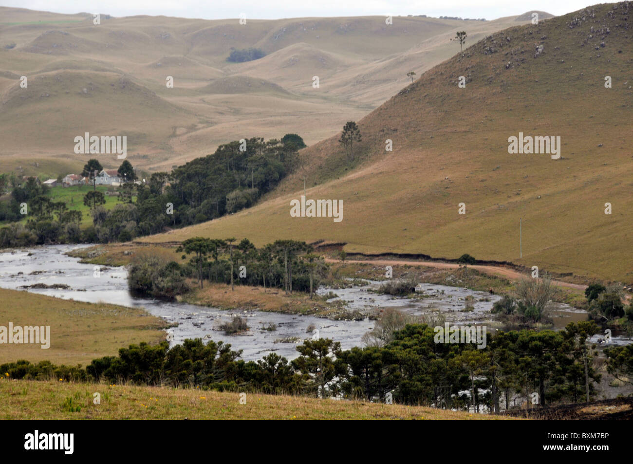 Brazilian highlands hi-res stock photography and images - Alamy