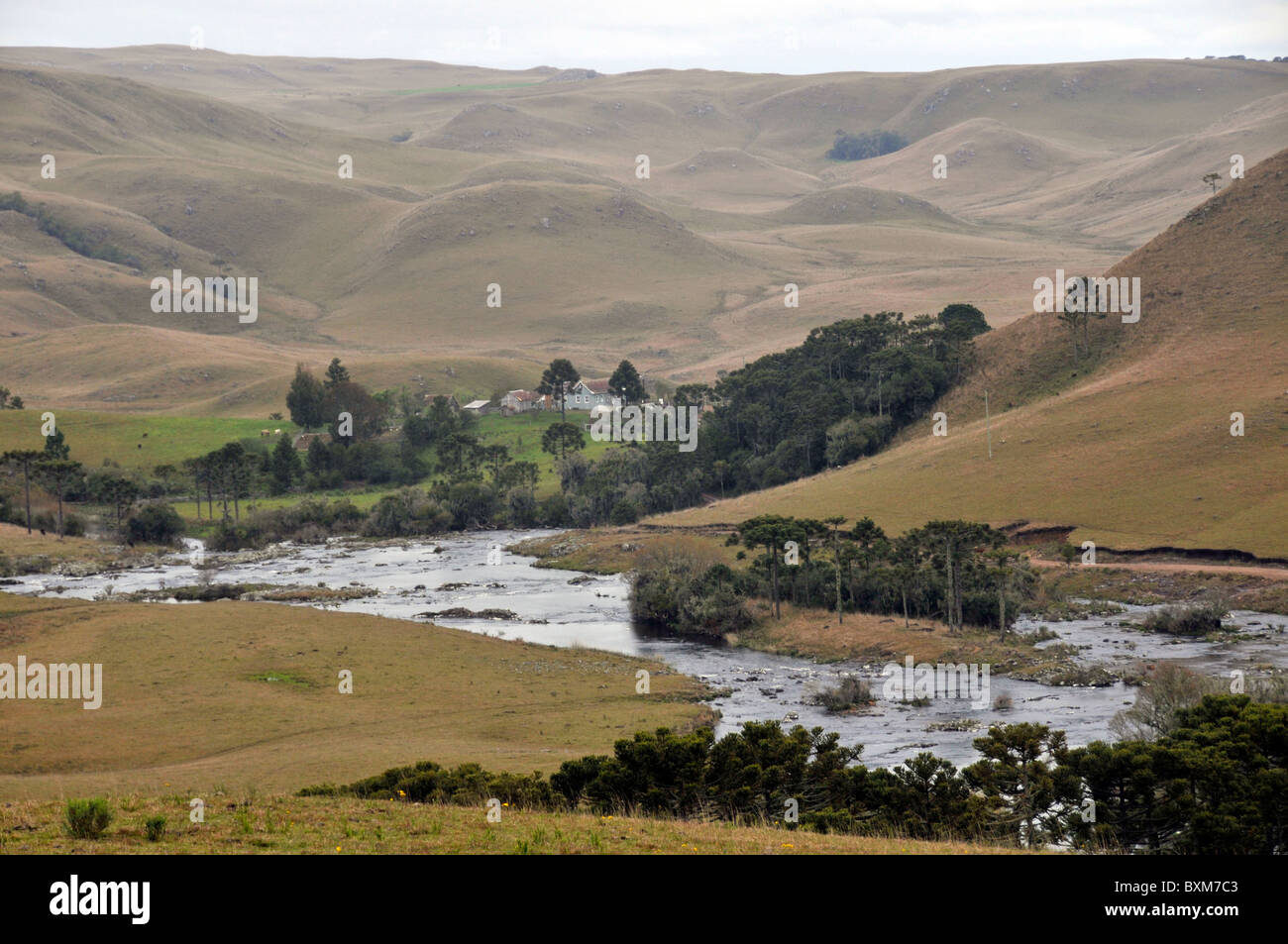 Brazilian highlands hi-res stock photography and images - Alamy