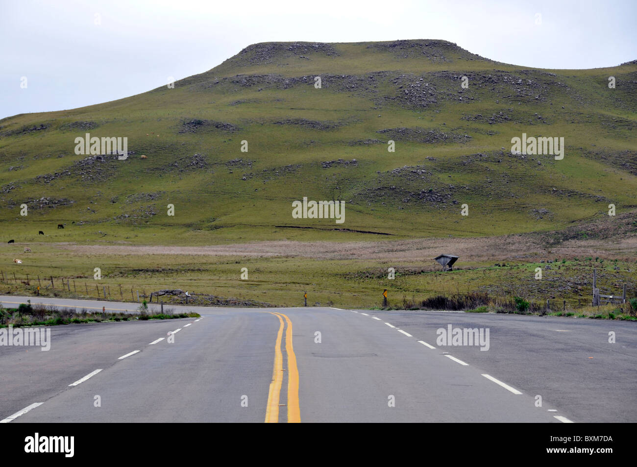Brazilian highlands hi-res stock photography and images - Alamy
