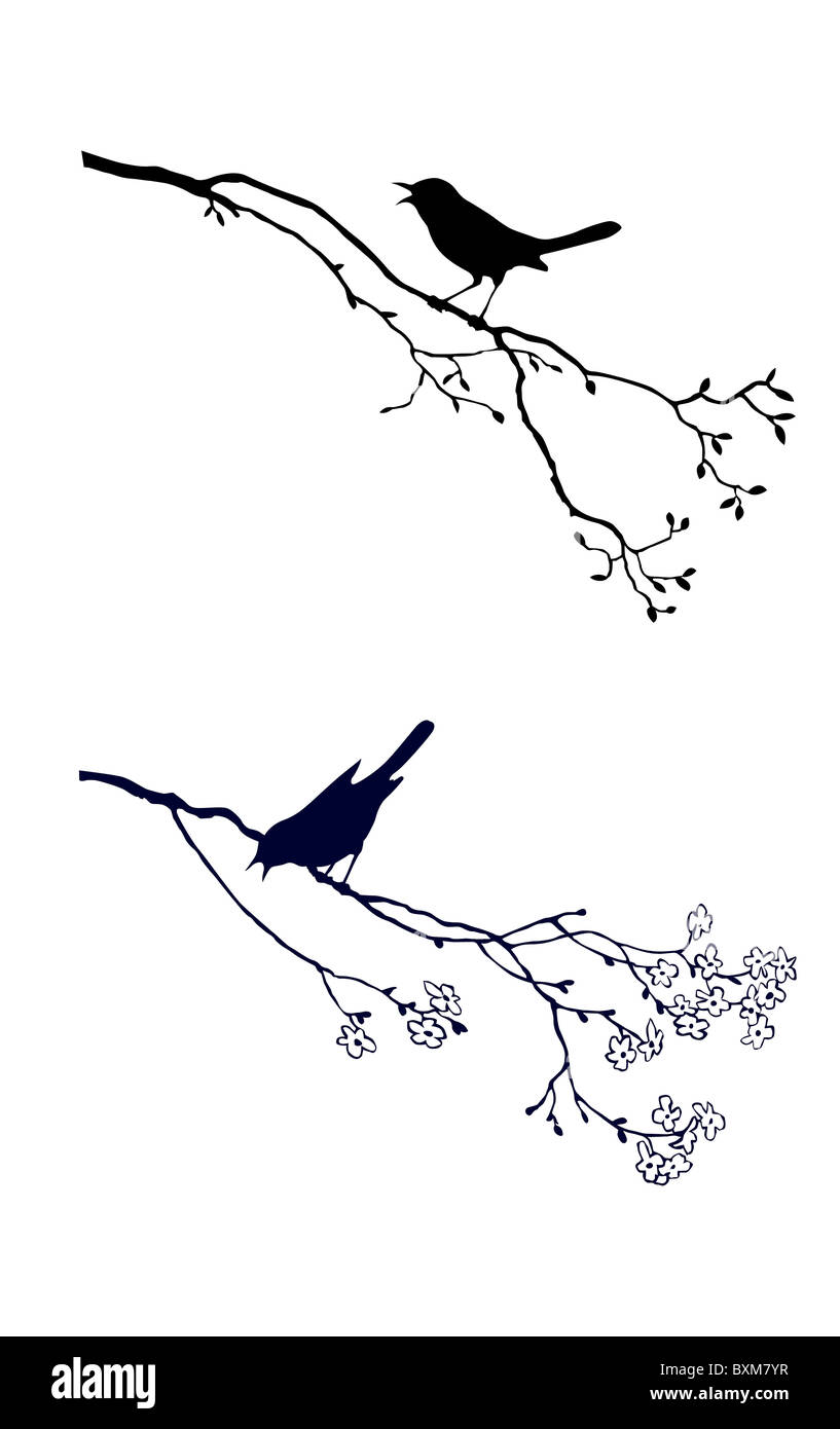 vector silhouette of the bird on branch tree Stock Photo - Alamy
