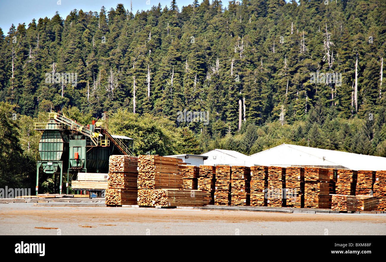 4 boards hi-res stock photography and images - Alamy