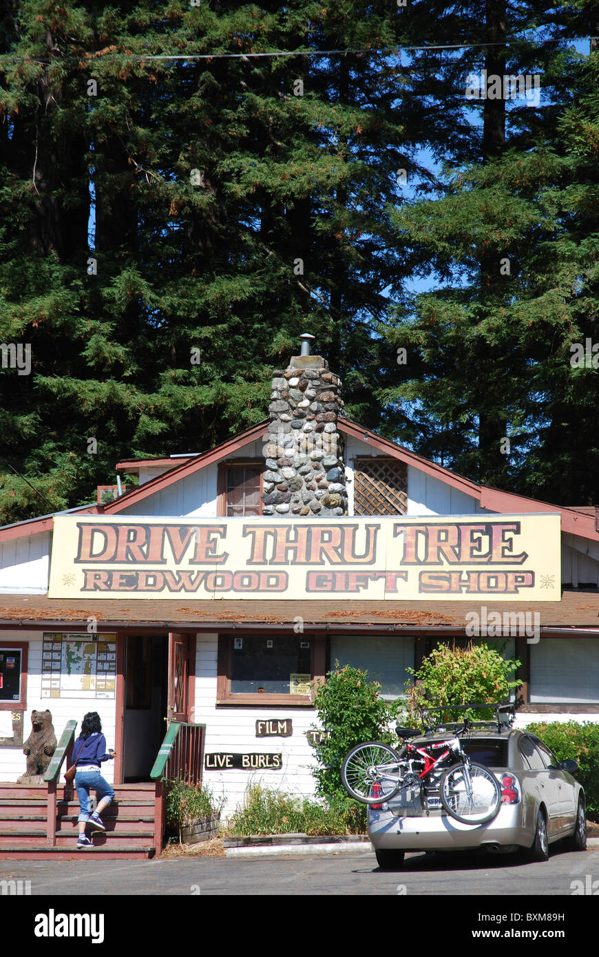 Drive thru tree hi-res stock photography and images - Alamy