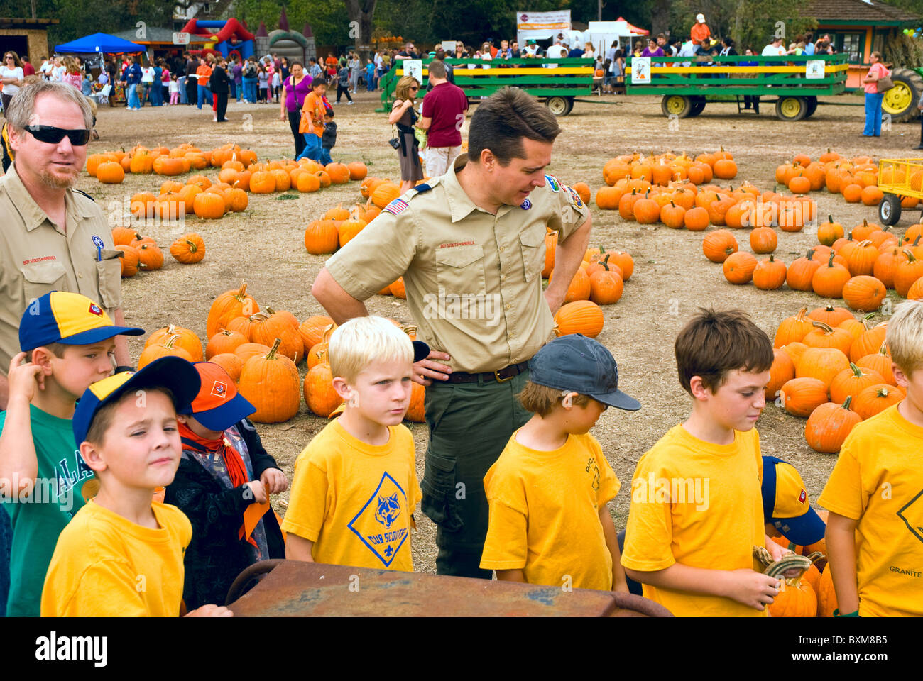 Cub Scouts on a field trip to a pumpkin farm Stock Photo - Alamy