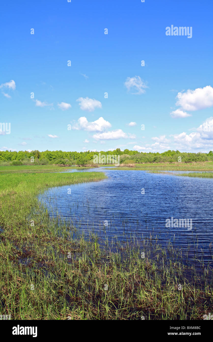 Field wave hi-res stock photography and images - Alamy