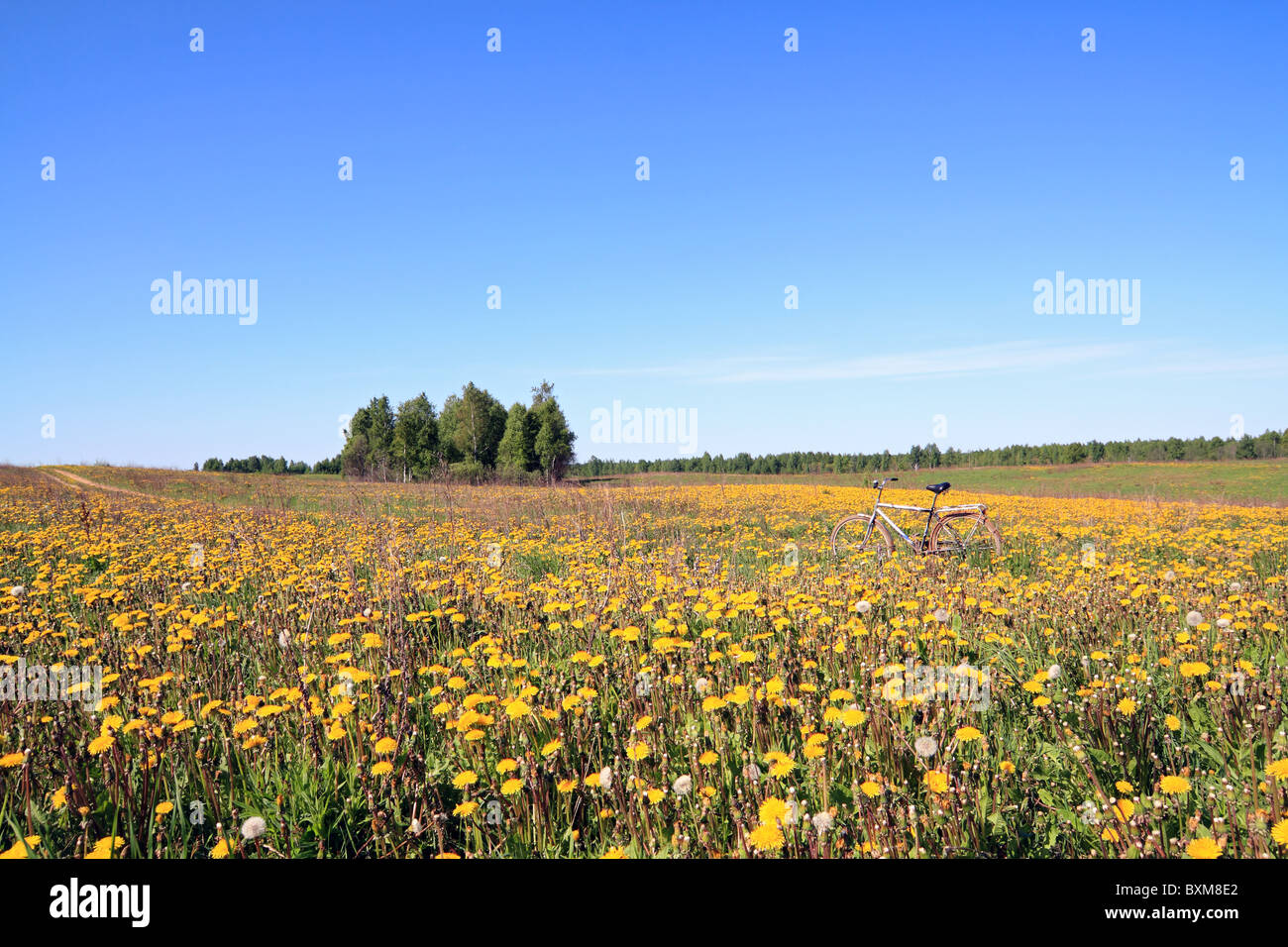 bicycle on field Stock Photo - Alamy