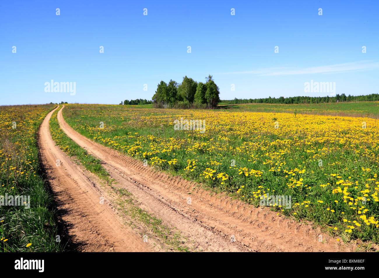 road on field Stock Photo - Alamy